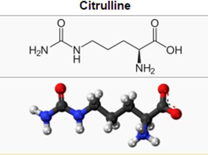 The History of Citrullination | RheumNow