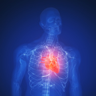 Subclinical Heart Inflammation Seen in RA | RheumNow
