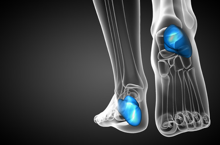 Enthesitis in PsA: A New Focus of Treatment? | RheumNow