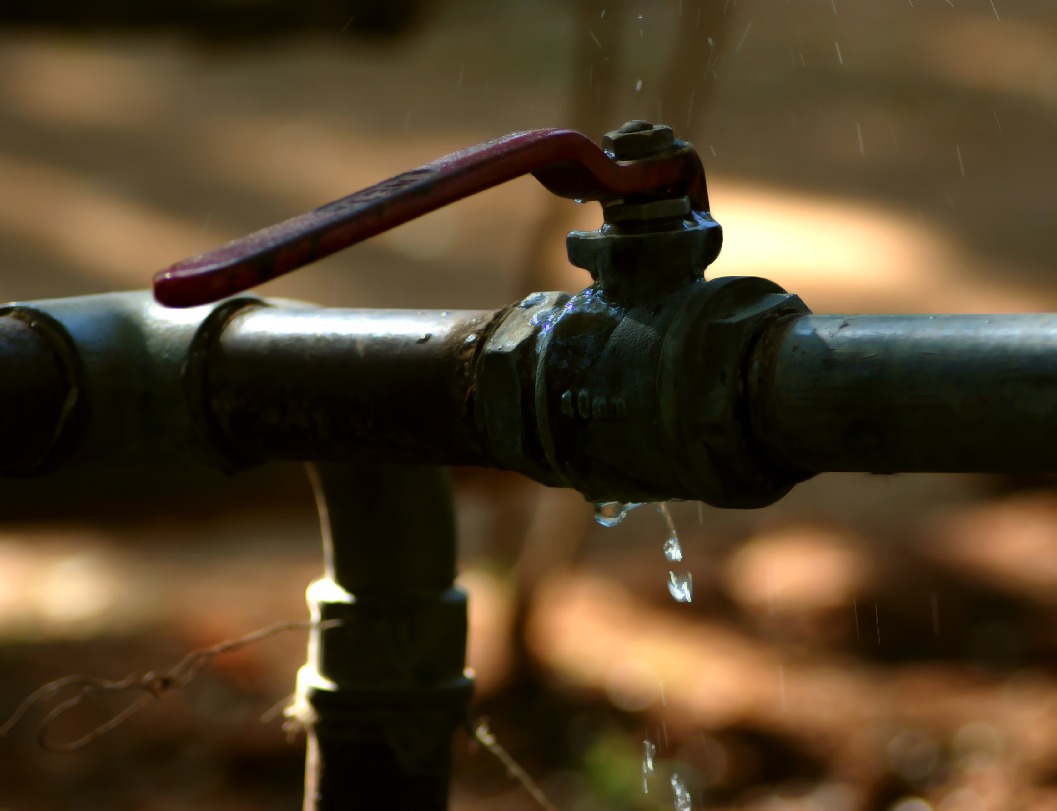 Of Plumbers and Doctors | RheumNow