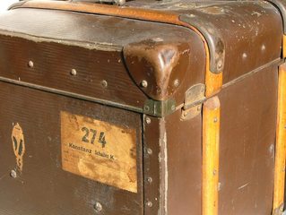 A Busted Valise | RheumNow