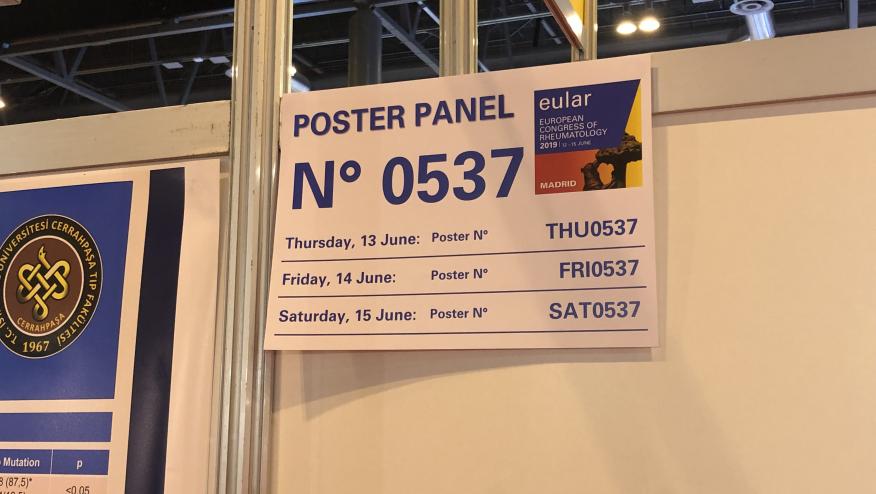 EULAR 2022 – Day 3 Report | RheumNow