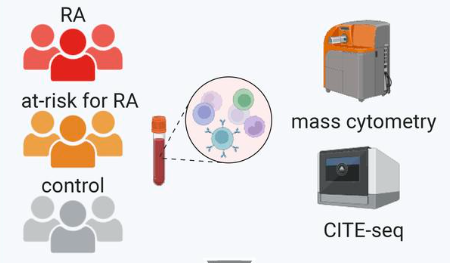 RA Prevention through Deep Immunophenotyping | RheumNow
