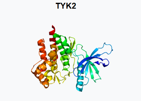 Zasocitinib (Tyk2 Inhibitor) Efficacy in Psoriatic Arthritis | RheumNow