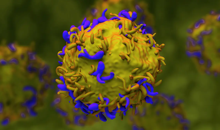 CAR-T Product Shows Early Promise in Lupus | RheumNow