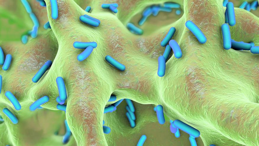 No Difference in Oral or IV Antibiotics for Bone & Joint Infections ...